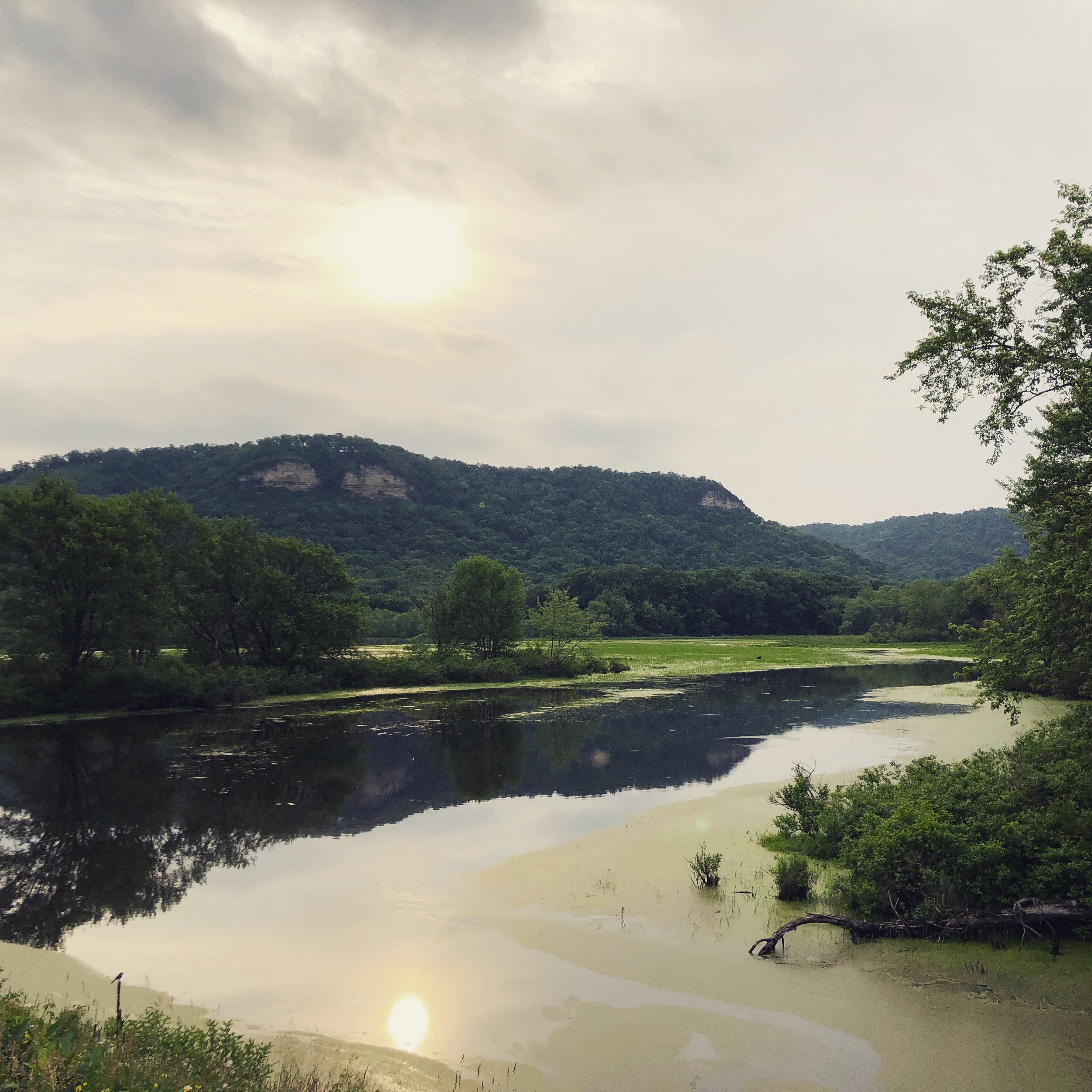 Nelson, WI | Distillery, BBQ, Cheese & Eagle Watching – West Coast of ...