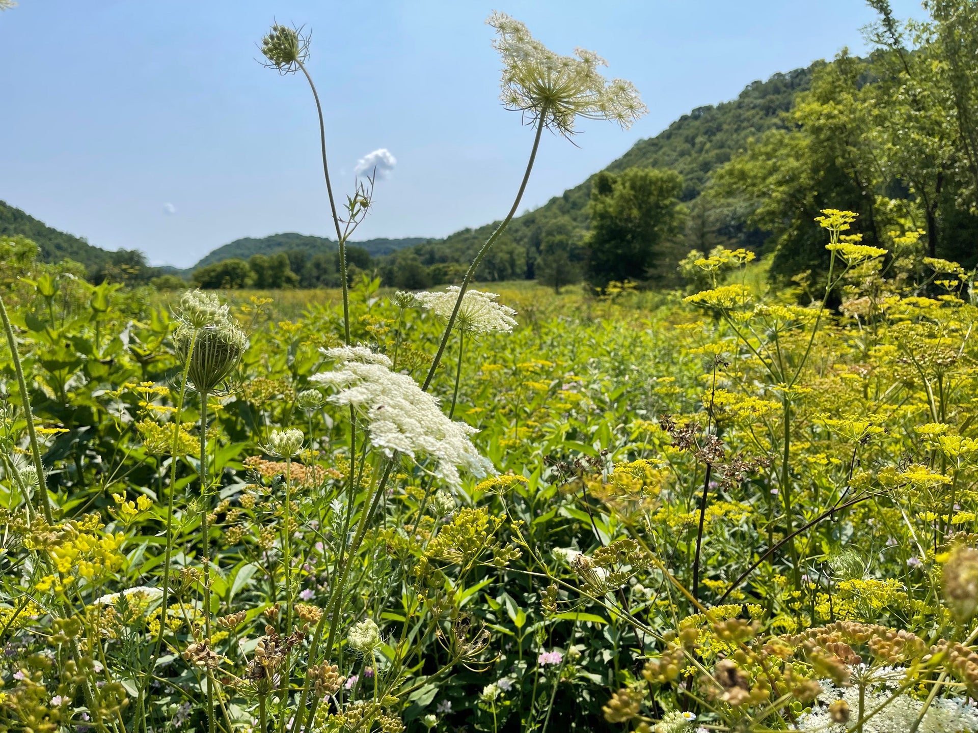 Explore Lake Pepin, Wisconsin | Villages, Dining, Events & Stay – West ...